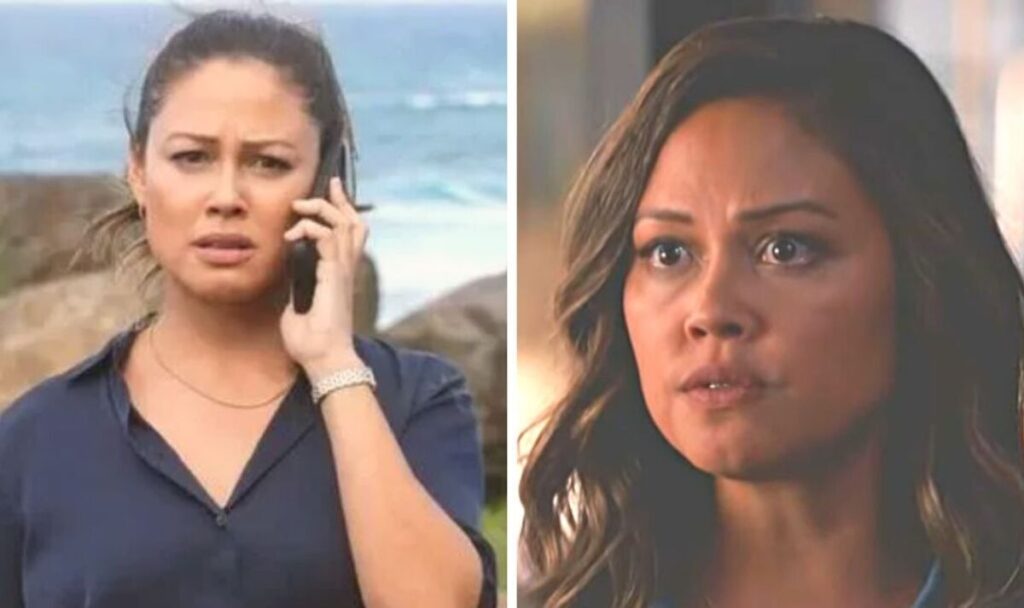 Théorie de la saison 2 du NCIS Hawaii: Jane Tennant adoptera le fils du ...