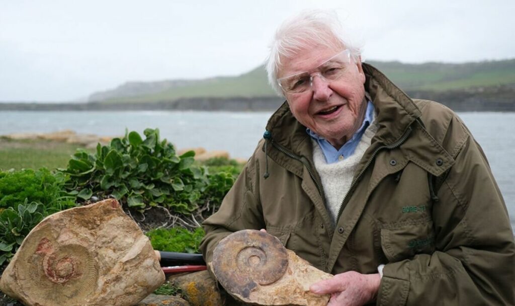 David Attenborough brise le silence sur l'incroyable découverte du ...